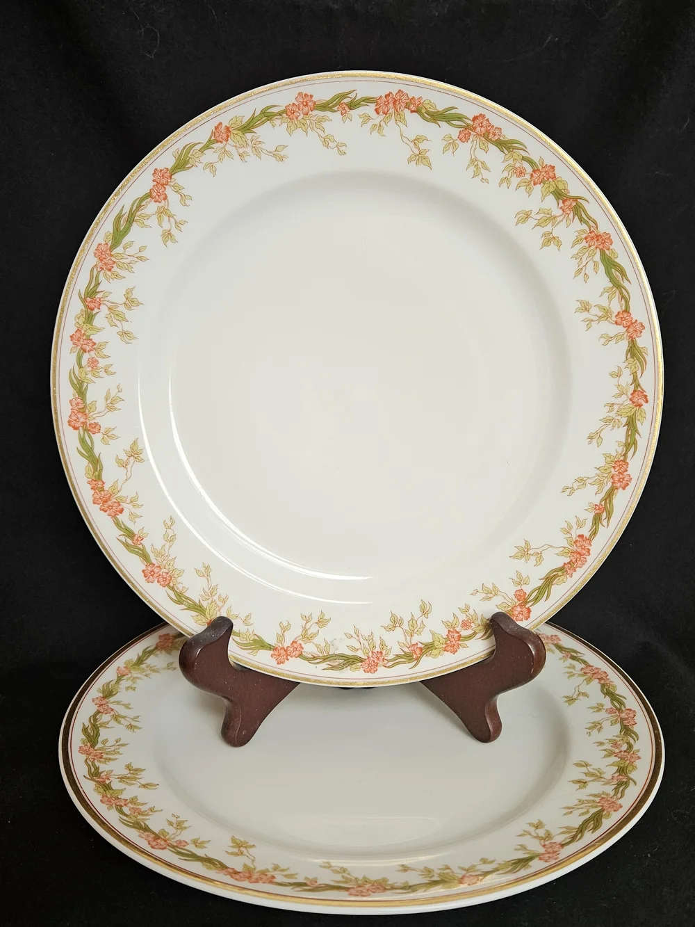Haviland | Dining | Haviland White Dinner Plates With Coral Floral And ...